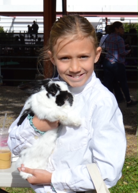 4-H Fur & Feather Fun! - The Vail Voice